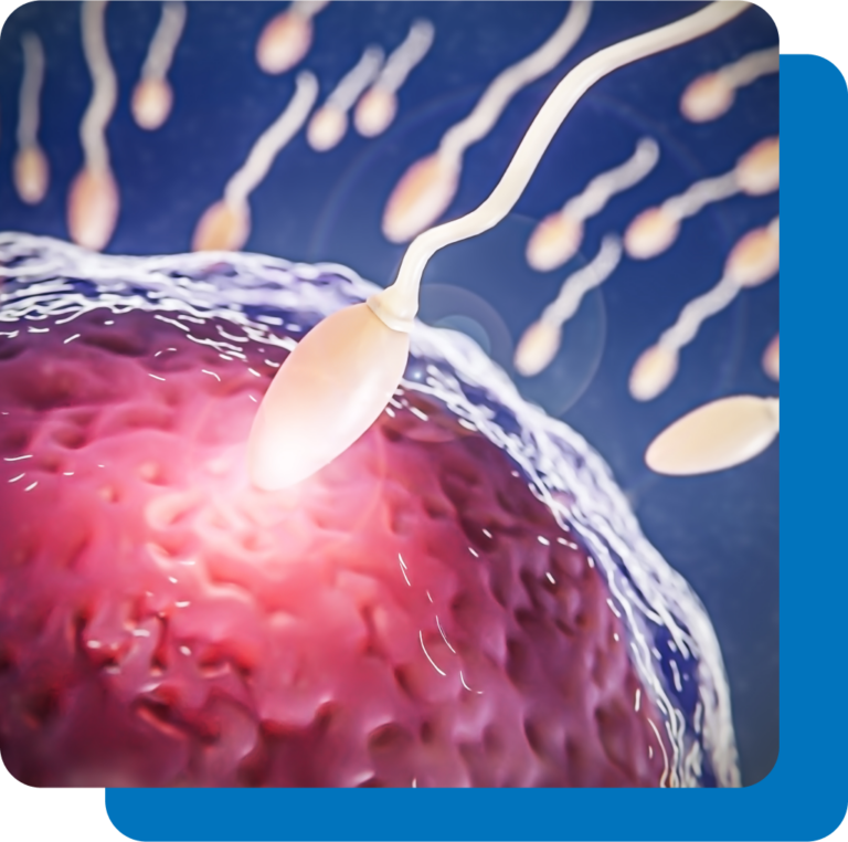 IUI/IVF – Poornima Hospital